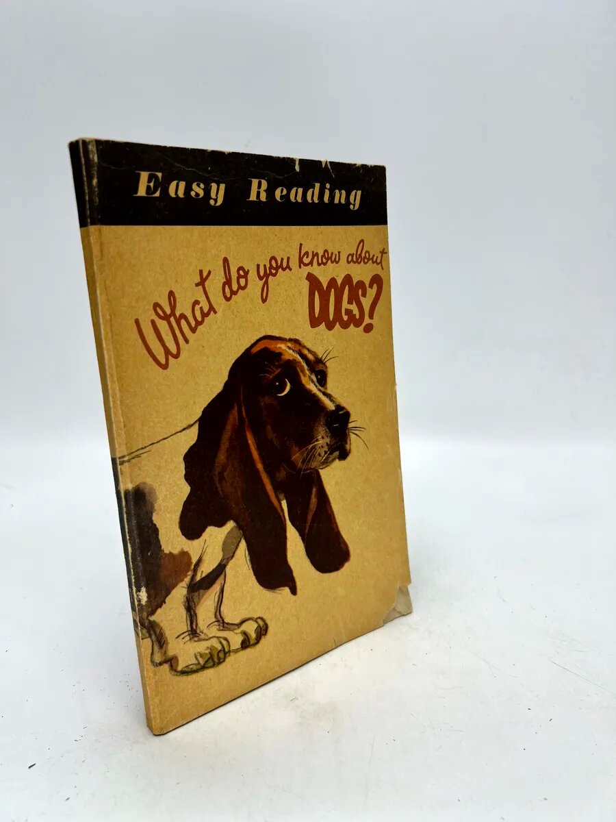 What do you know about DOGS?