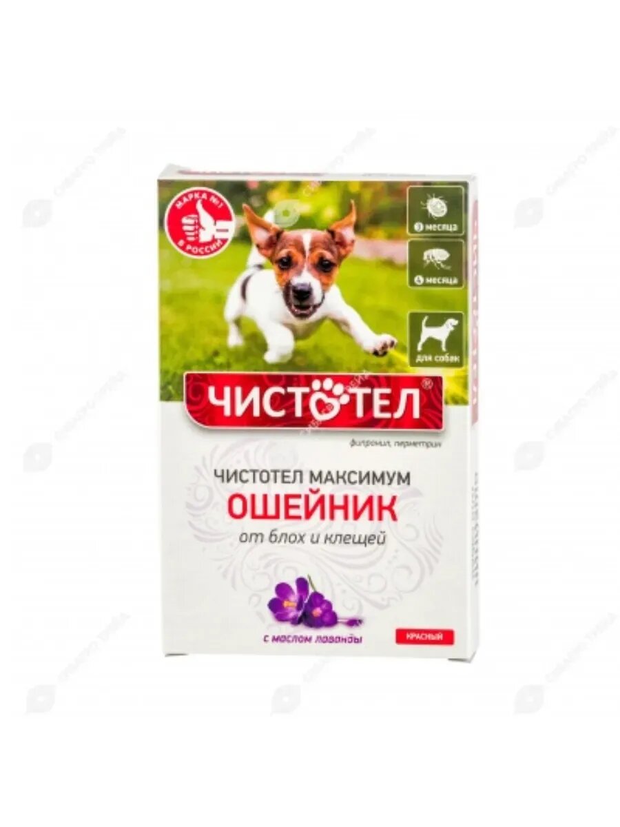 Чистотел максимум ошейник для собак, красный