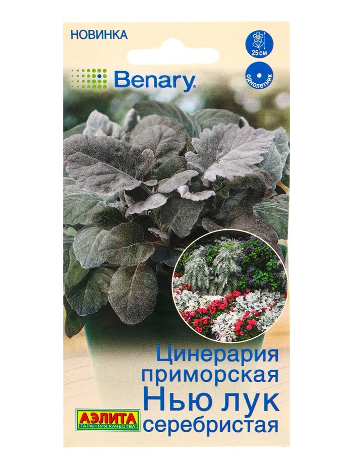 Семена цветов Цинерария Нью Лук серебристая (драже в пробирке) Спецсерия Benary, Ц/П,15 шт. 1094592