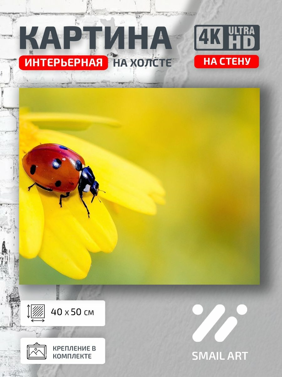 Картина на холсте интерьерная 40 на 50 на стену Лепестки Macro для кабинета макро интерьер