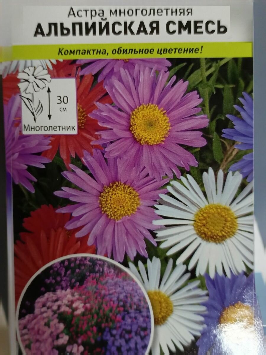 Семена Альпийской астры смесь ( компактный многолетник ) Русский Огород.