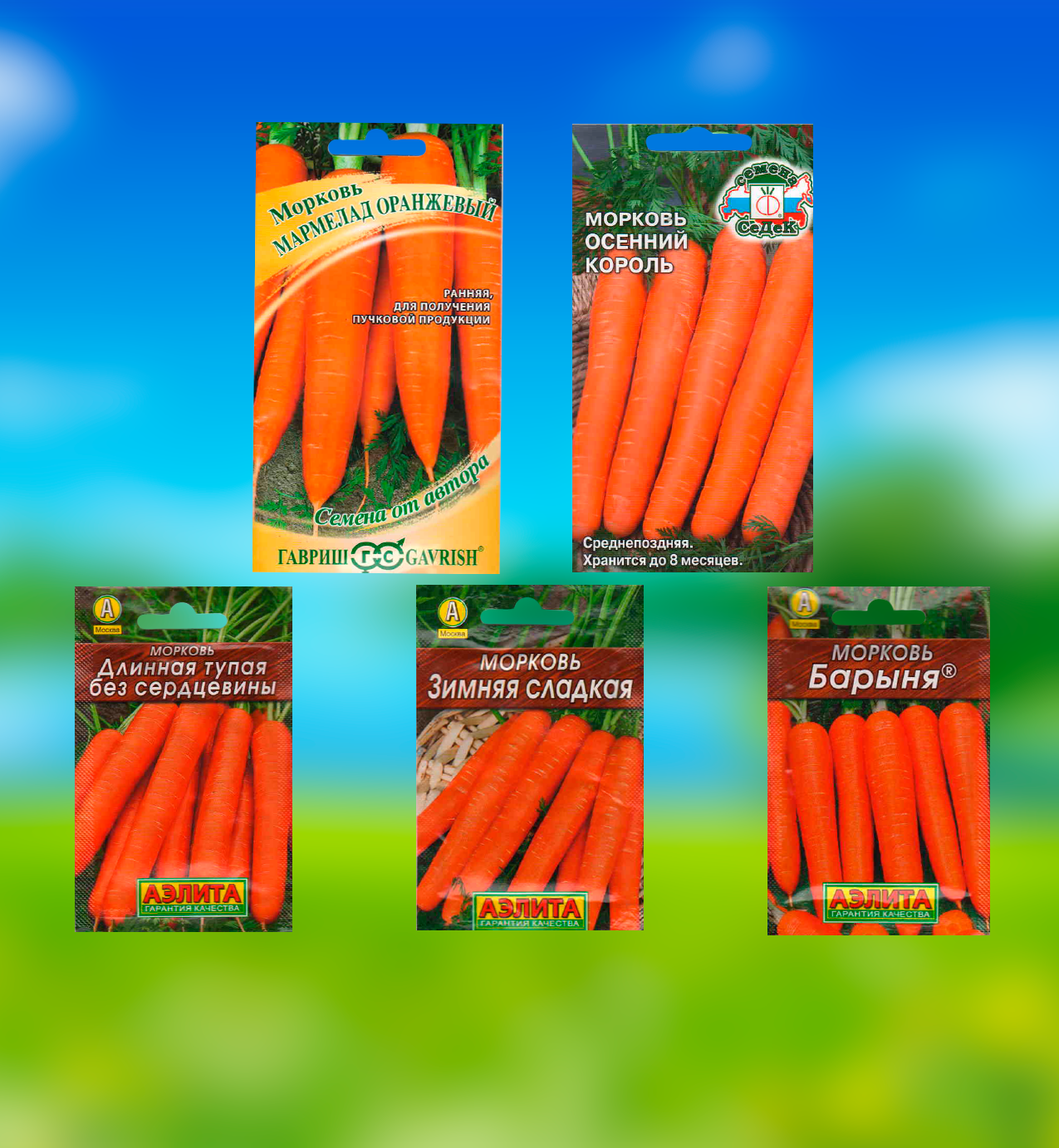 Набор семян Моркови, Мармелад оранжевый, Осенний король, Длинная тупая без сердцевины, Зимняя сладкая, Барыня / 5 пачек