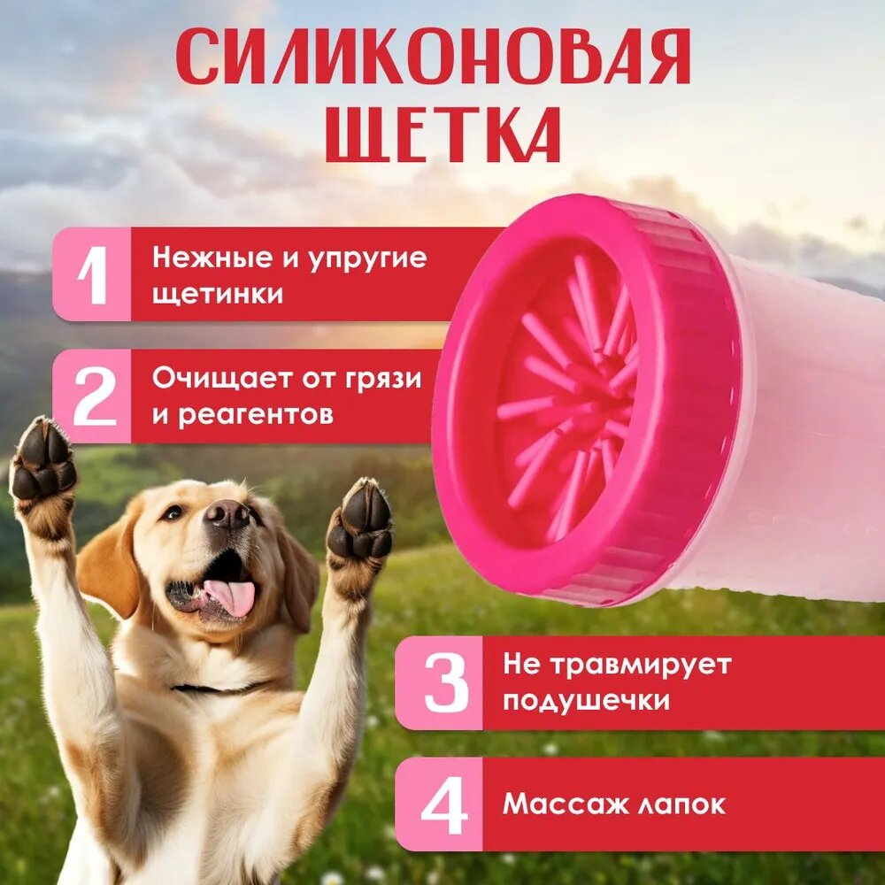 Лапомойка — фото 1