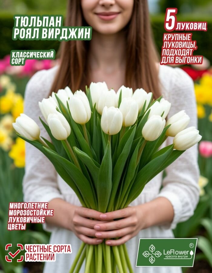 Тюльпан Луковица, Роял вирджин 5 шт, крупные