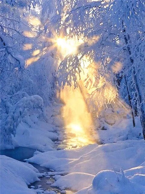 AZQSD Алмазная вышивка Снег Зимнее дерево Мозаика Стразы Алмазная картина Пейзаж Вышивка крестиком Ручная работа Домашний декор