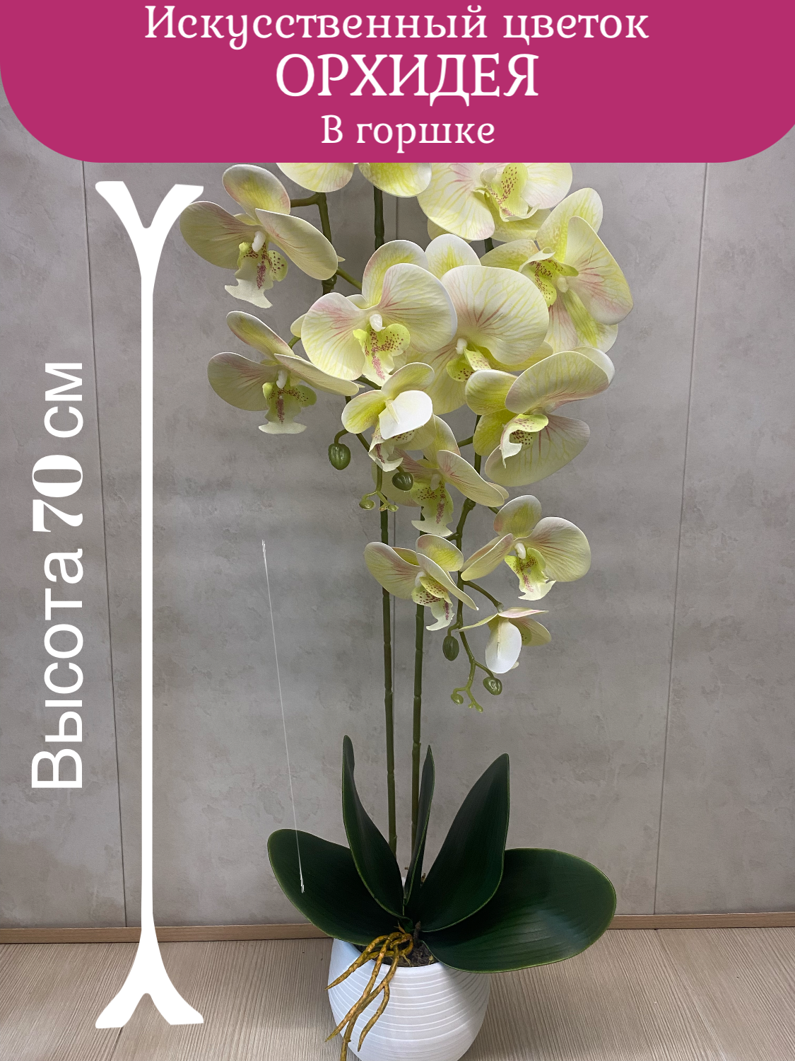 Орхидея Фаленопсис №9 двойная в горшке от "Лотос"