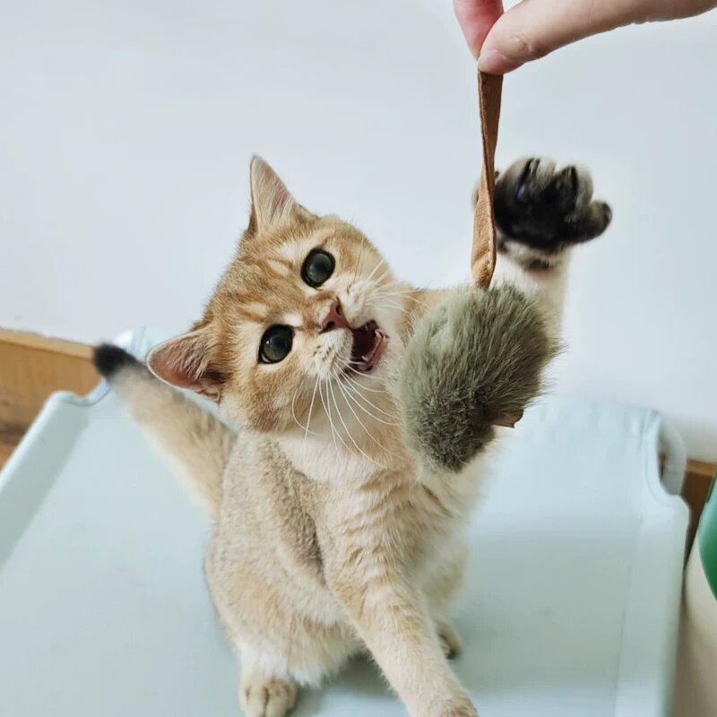 Реалистичная звуковая мышка для кошек-котят, интерактивная игра и полезное точение, одна штука