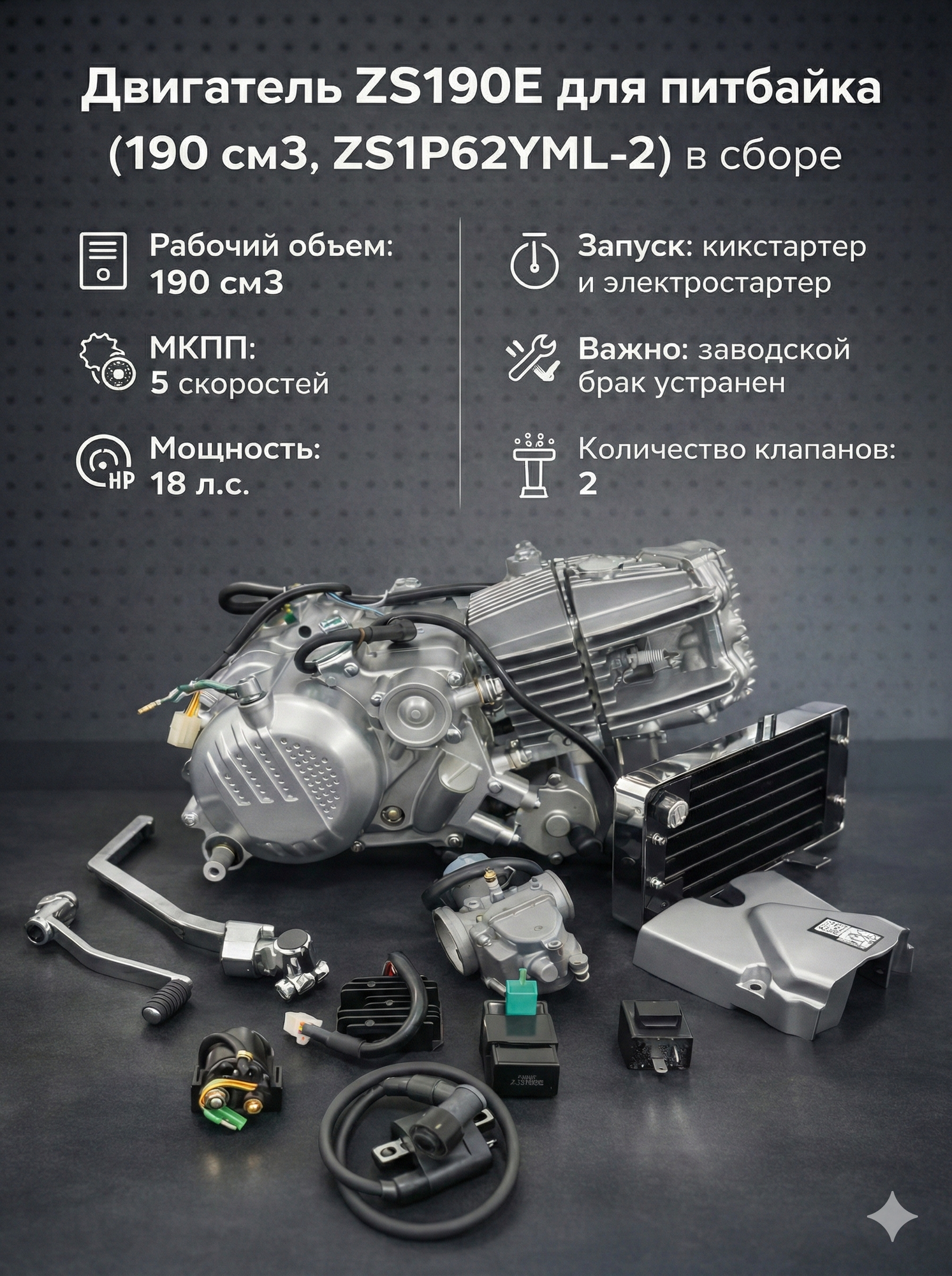 Двигатель ZS190E для питбайка (190 см3, ZS1P62YML-2) в сборе