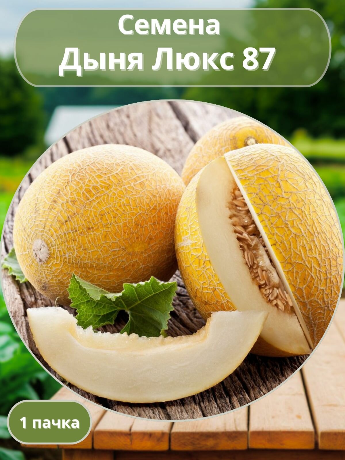 Дыня Люкс 87, семена 10 шт