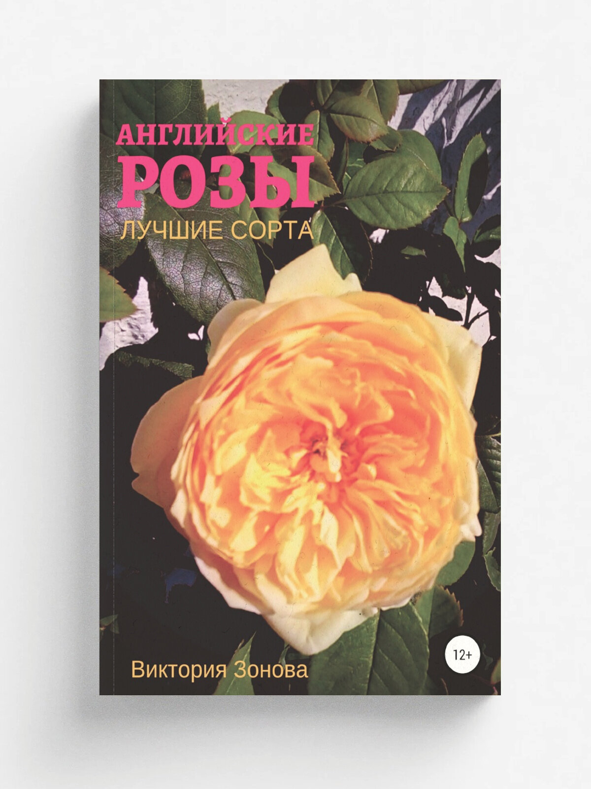 Английские розы. Лучшие сорта