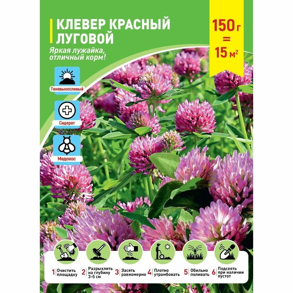 Семена газонной травы Клевер красный луговой Дымковский/Многолетник,150 гр, Русский Огород