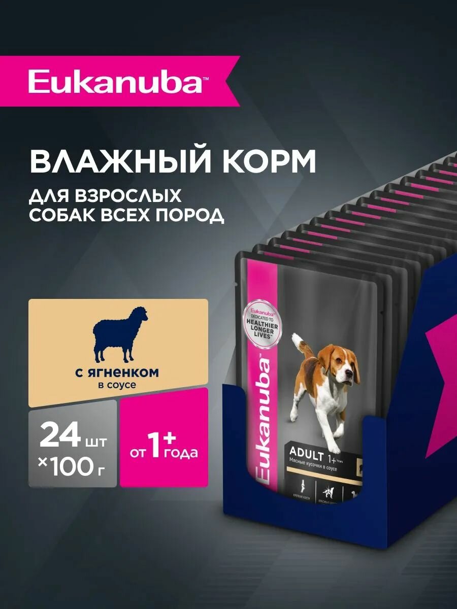Влажный корм для собак Eukanuba Adult All Breed кусочки в соусе со вкусом ягненка, 24 шт по 100 г