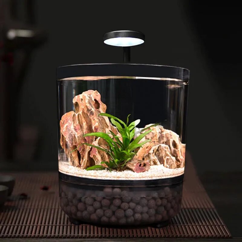 Аквариум Для Рыбок С Подсветкой И Фильтром