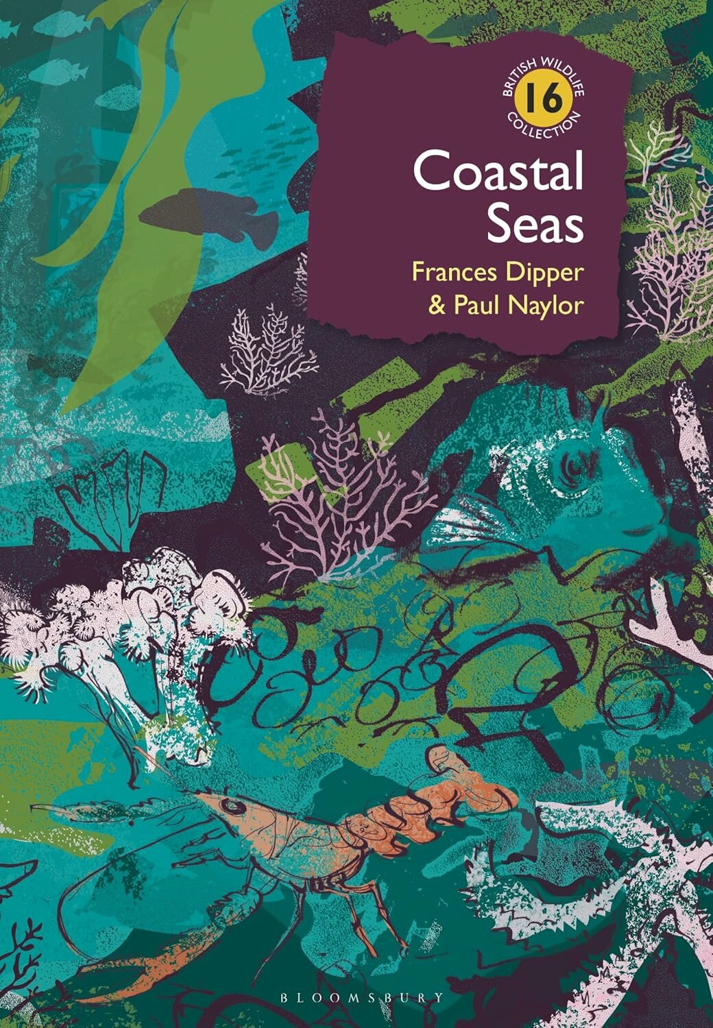 Книга Coastal Seas (British Wildlife Collection) на английском языке
