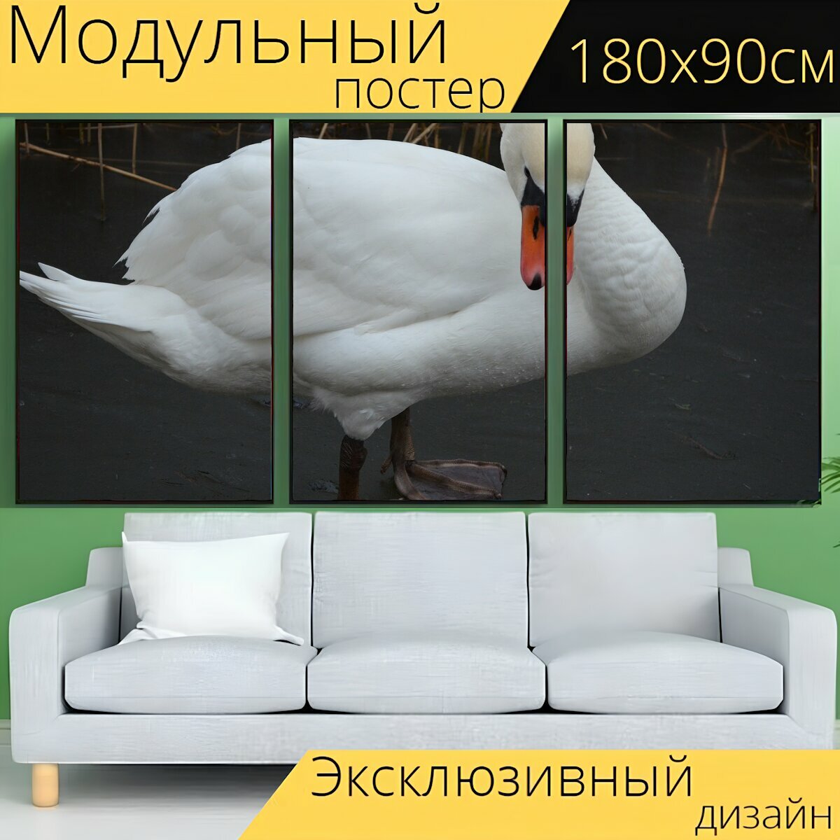Модульный постер "Лебедь, немой лебедь, озеро" 180 x 90 см. для интерьера на стену в тубусе