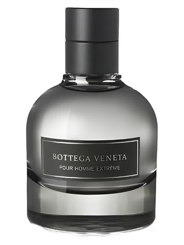 Bottega veneta extreme