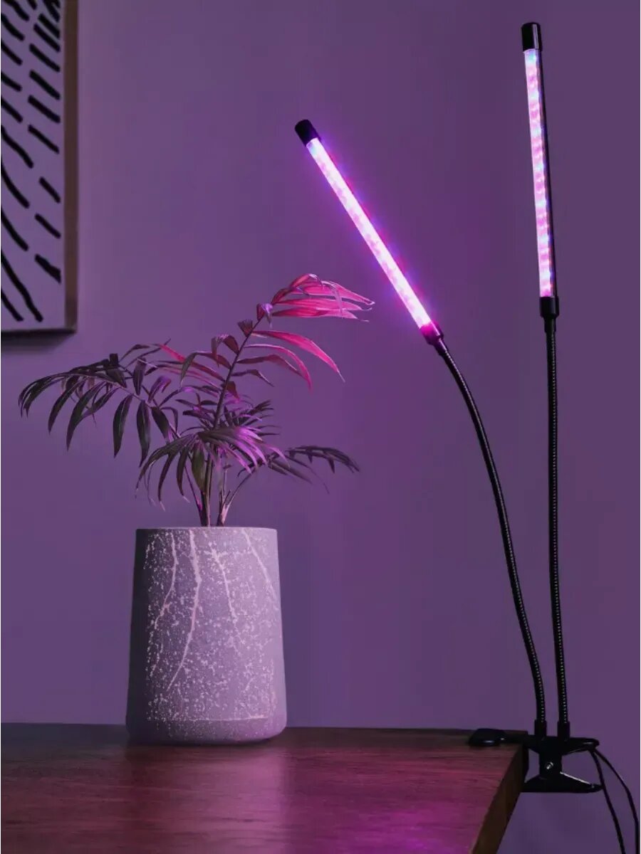 Фитолампа для растений