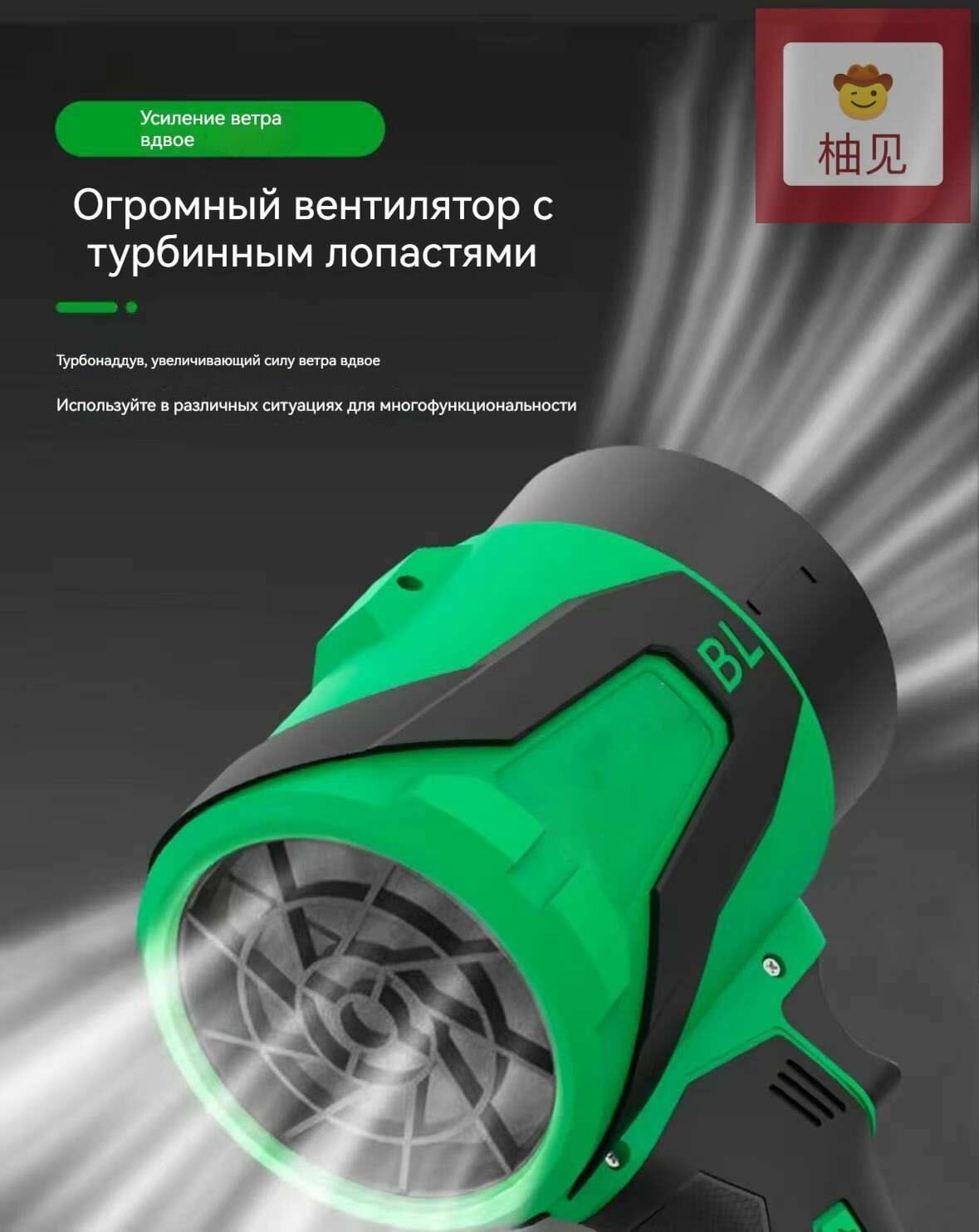 Воздуходувка,1000Вт — фото 1