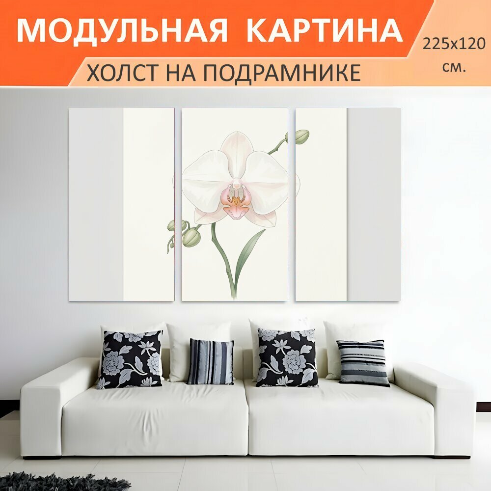 Модульная картина на холсте "Белая орхидея с бутонами. Нежный ботанический рисунок орхидеи в светлых пастельных тонах: белые." триптих на подрамнике 225х120 см. для интерьера