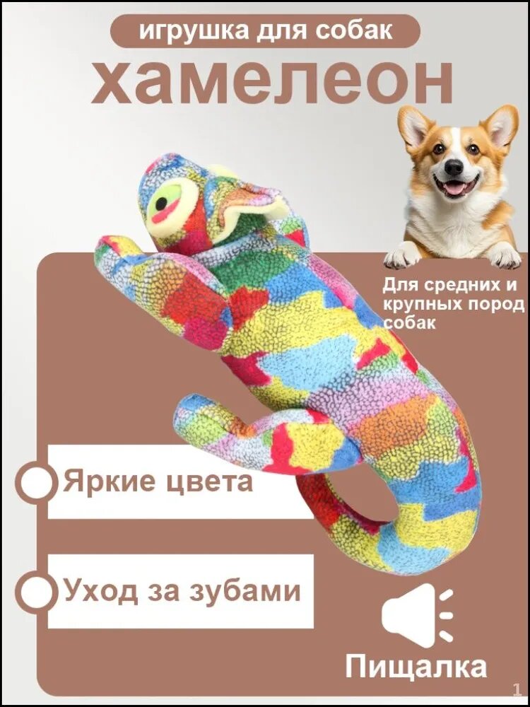 Эксклюзивная зооаксессуар