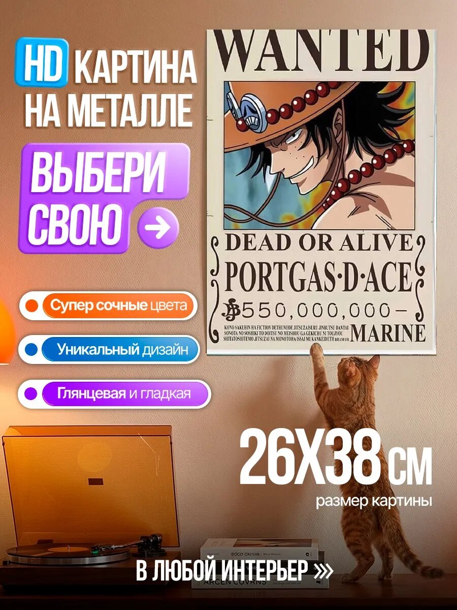 Картина на HD металле Портрет Портгаса Д. Эйса