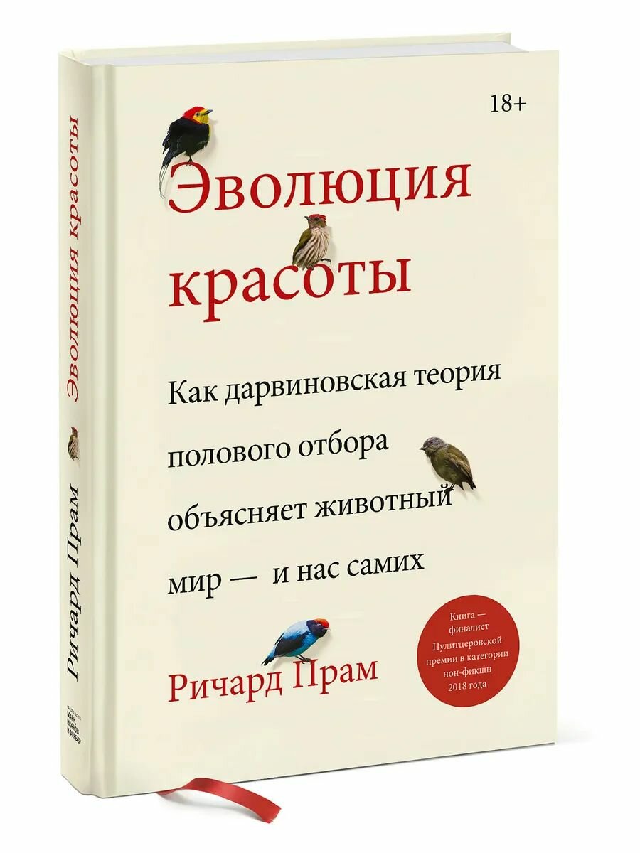 Эволюция красоты
