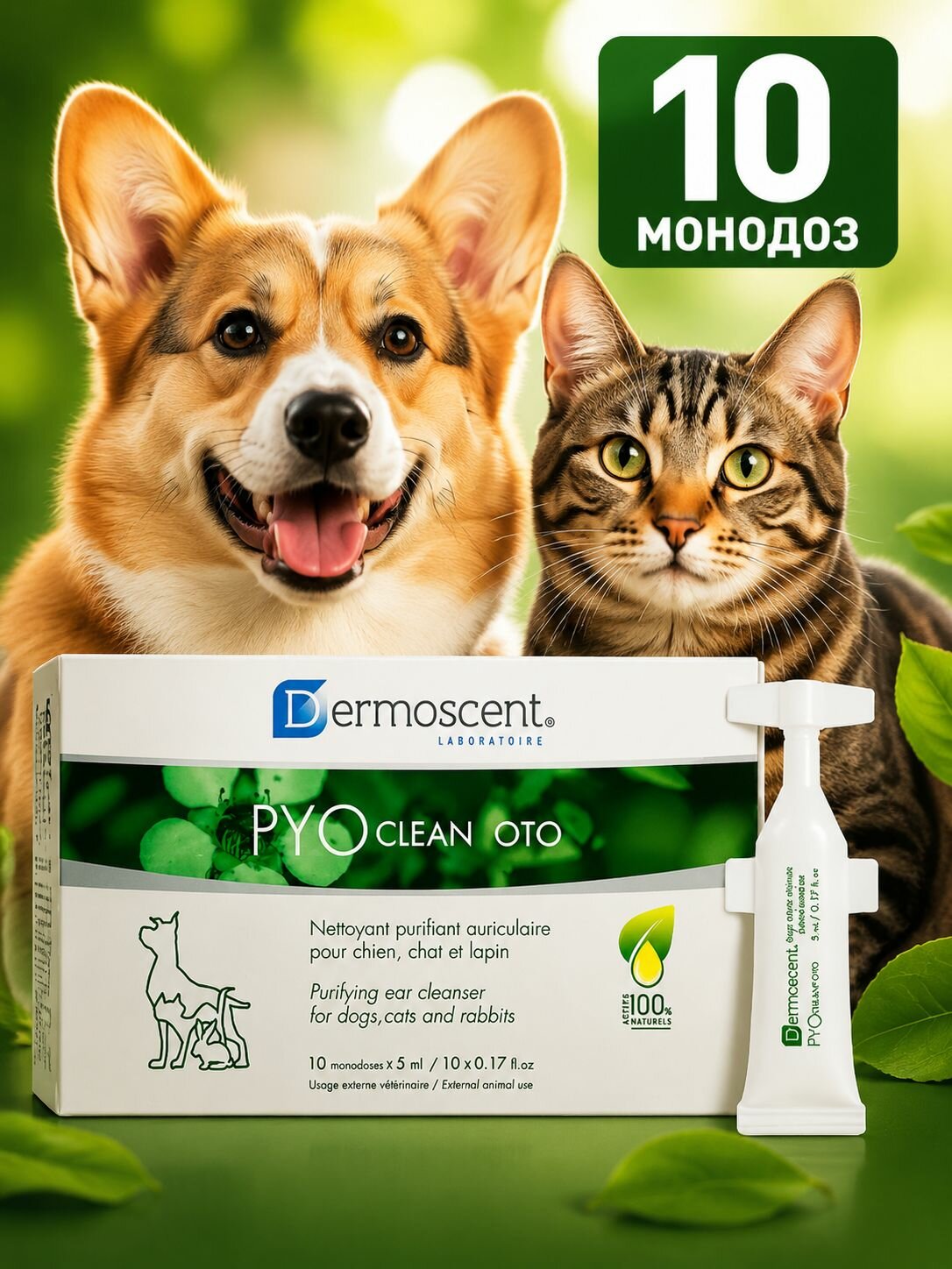 Лосьон Dermoscent PYOclean Oto для собак и кошек антисептический для очистки ушей при отите пиодермии и бактериальных инфекциях 10 доз по 5 мл