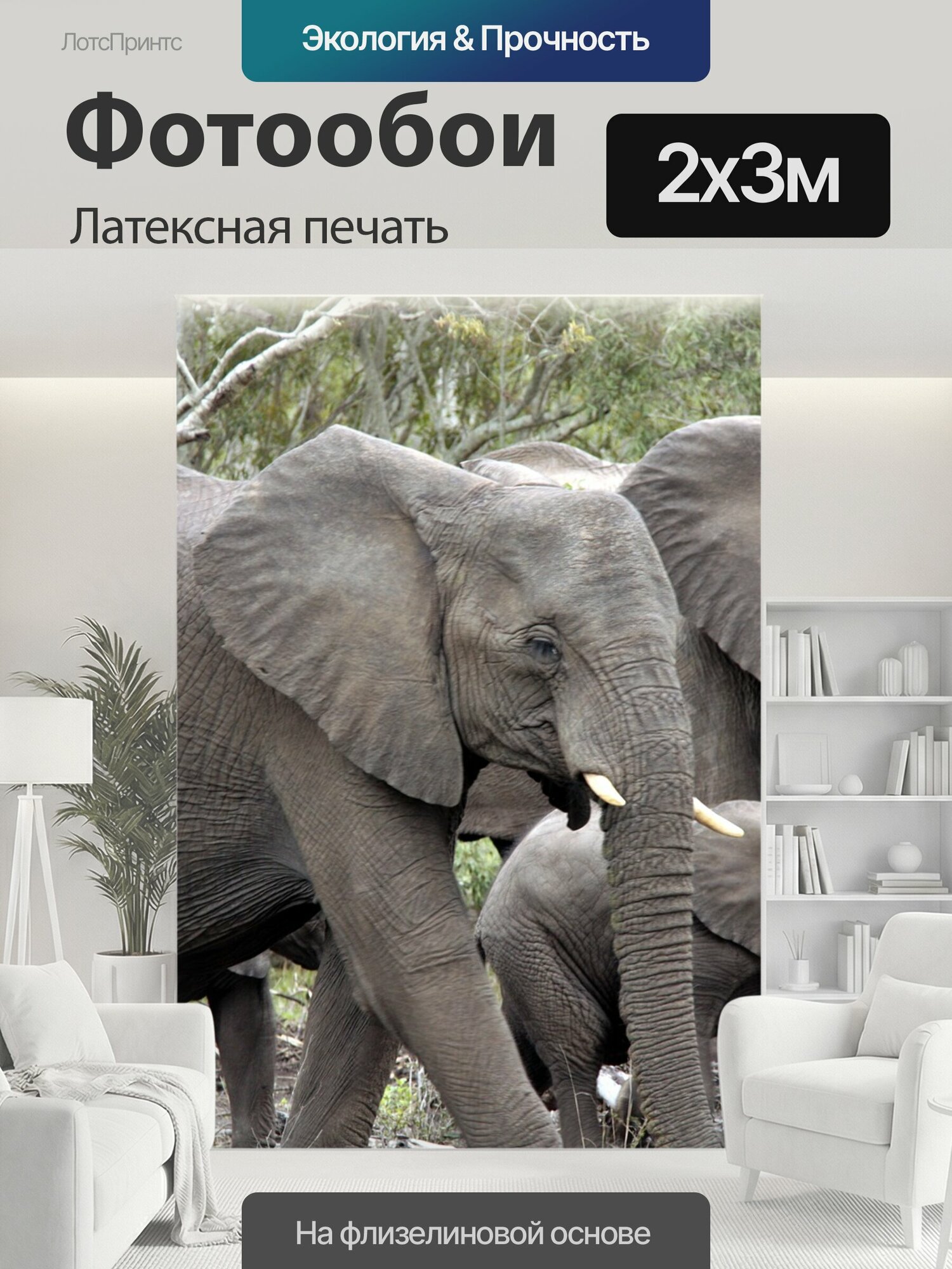 Фотообои моющиеся ударопрочные "Стадо слонов, слон, африке" 200x300 см. латексная печать