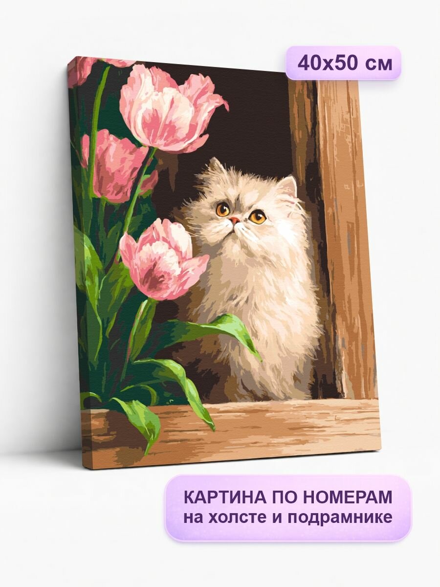 Картина по номерам на холсте с подрамником 40х50 см. Природа, животные, рыбы, птицы. Кот, кошка, котенок. "Кот с тюльпанами", арт. 8757/