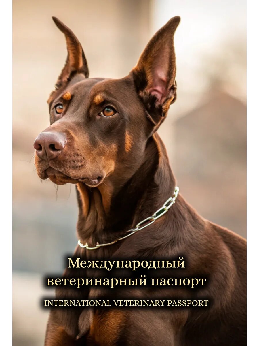 Международный ветеринарный паспорт с аудио-записью