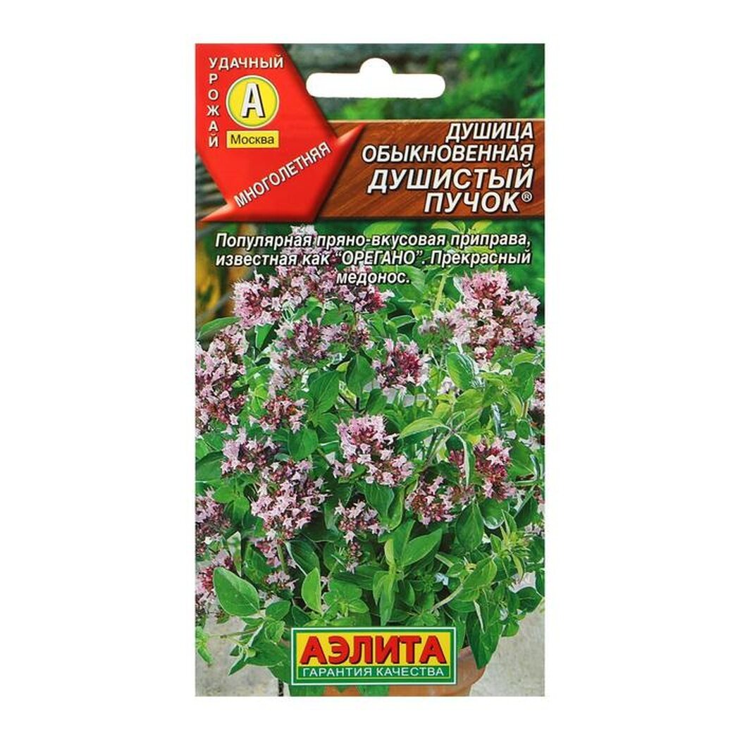 Семена душицы Агрофирма аэлита "Душистый пучок", многолетние, 0,05 г