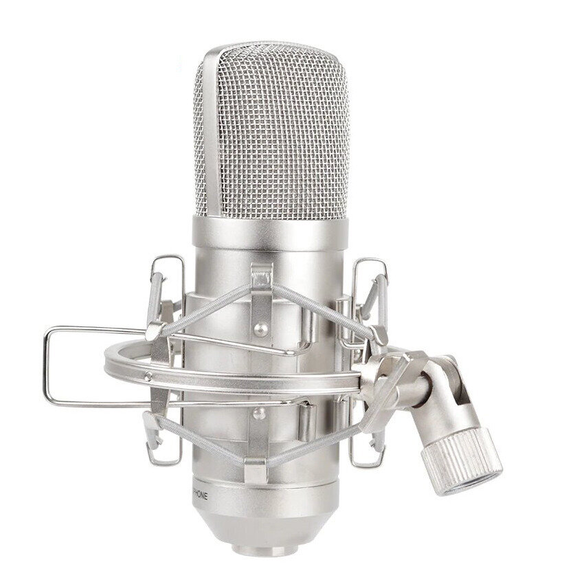 Микрофон студийный конденсаторный Alctron MC001, кейс и держатель-паук в комплекте