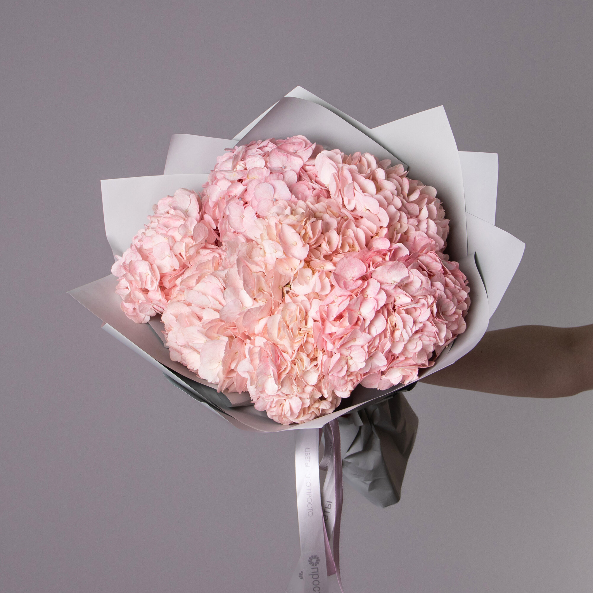 Букет Гортензия "Скай Пинк" 7 шт Высота 60 см в коробке и аквабоксе от "Простоцветы"