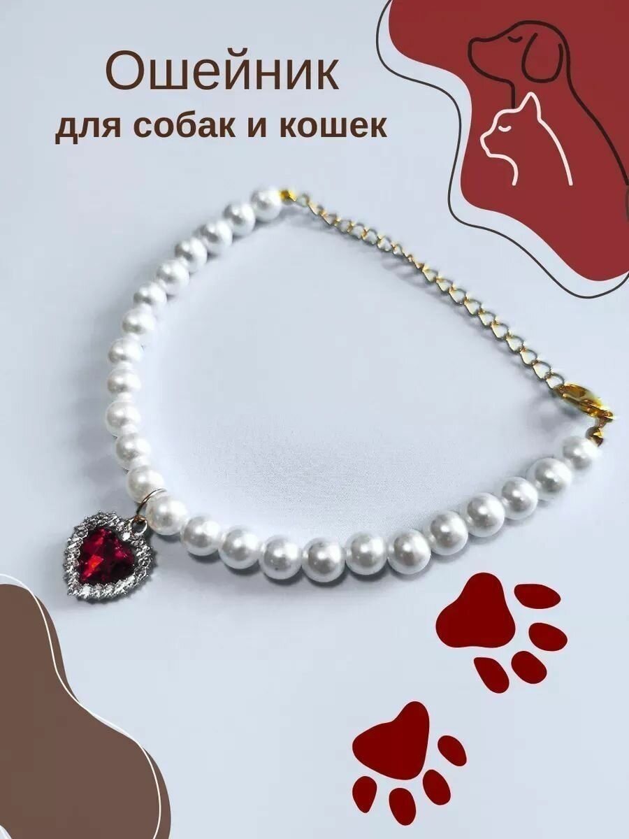 Ошейник для кошек и собак