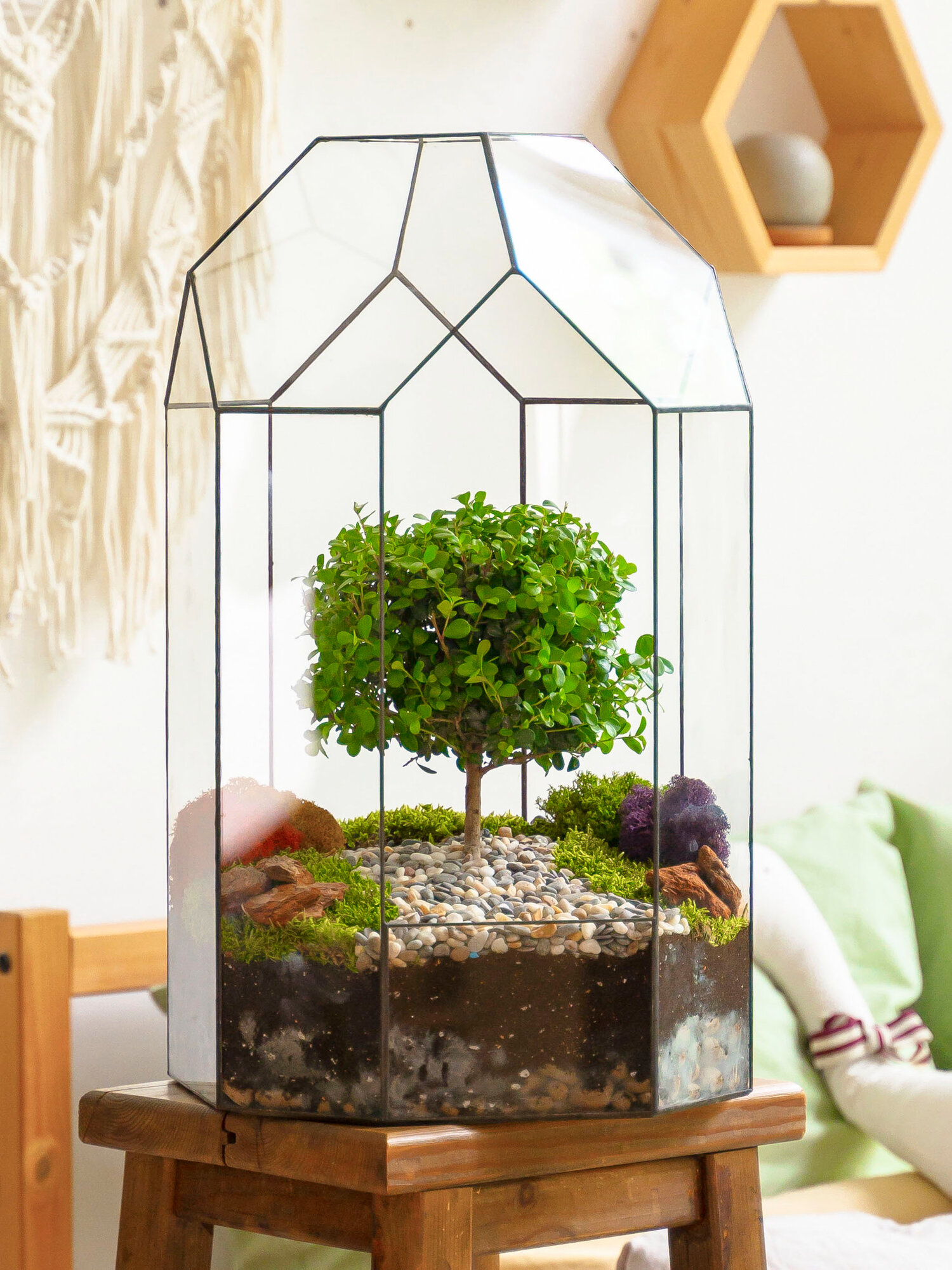 Geo Glass: Мирт , Мирсина африканская во флорариуме из стекла , подарок 50 см