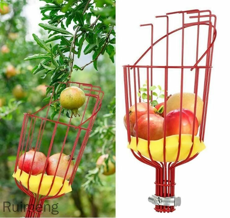 Плодосборник, плодосъемник для сбора фруктов: яблок и груш, персиков и слив