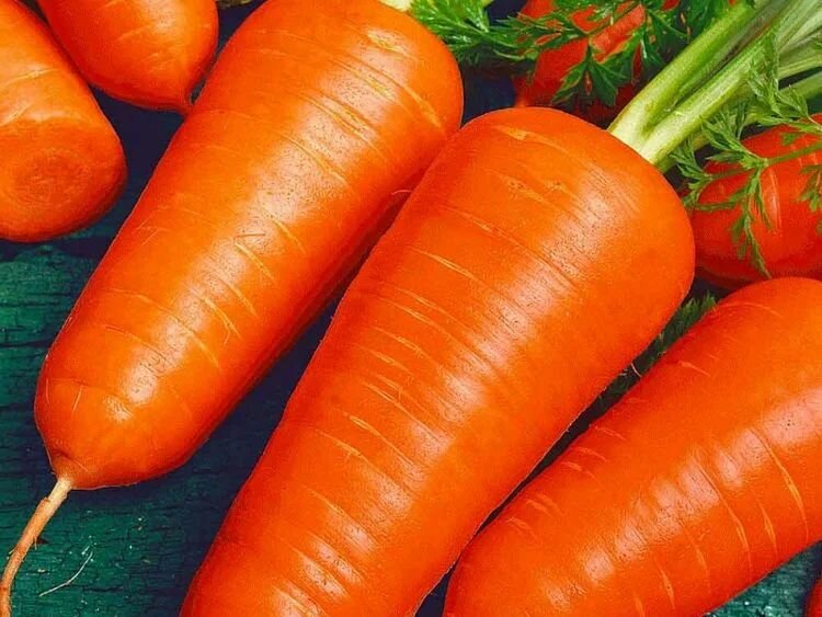 Коллекционные семена моркови Апельсинка