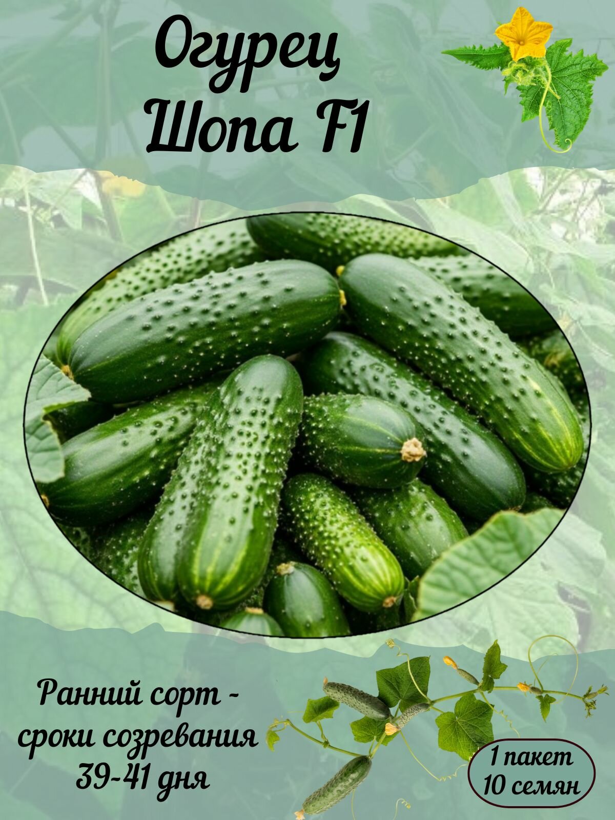 Огурец Шопа F1, семена, 10 шт, 15 гр.