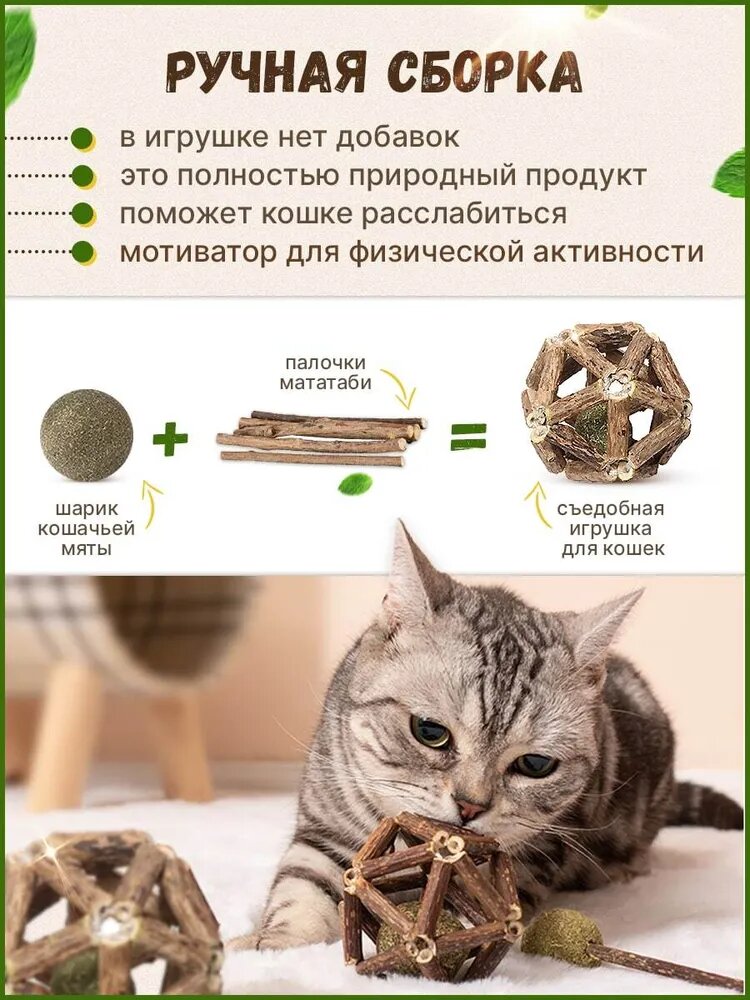 Игрушка для кошек, чистки зубов, шарик мататаби с кошачьей мятой для котят