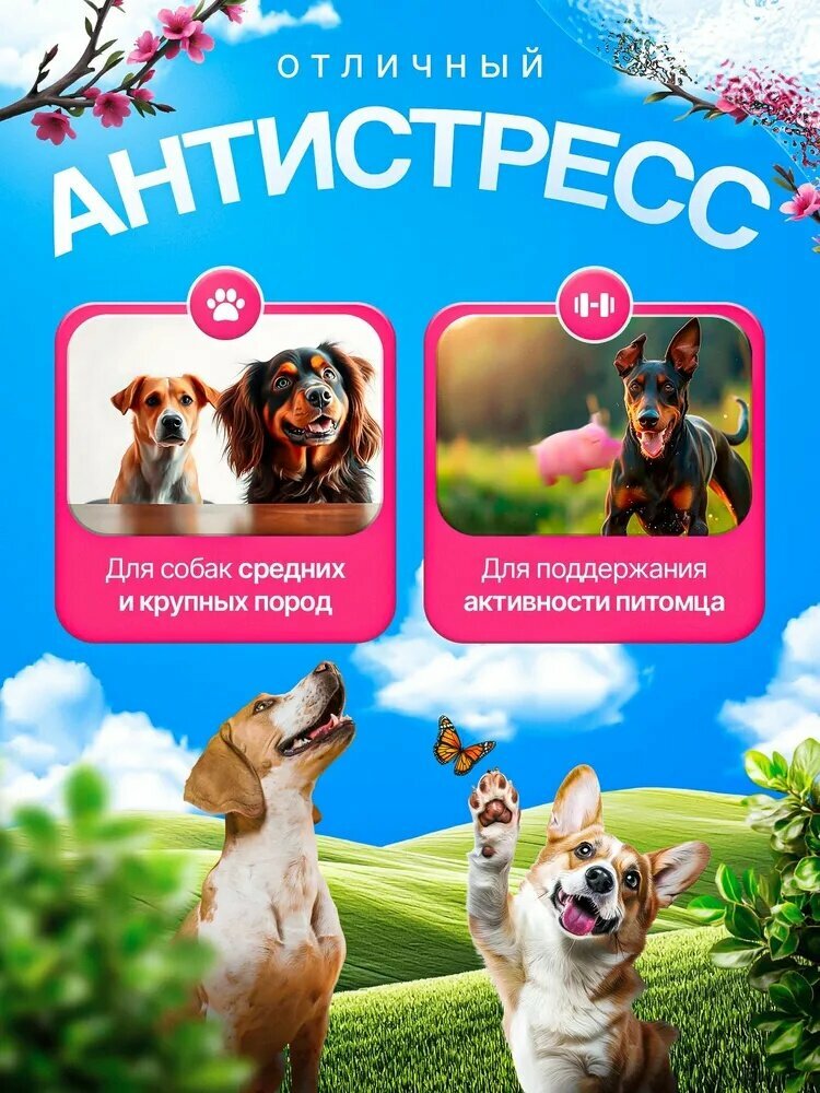 Хрюкающая свинья — фото 1