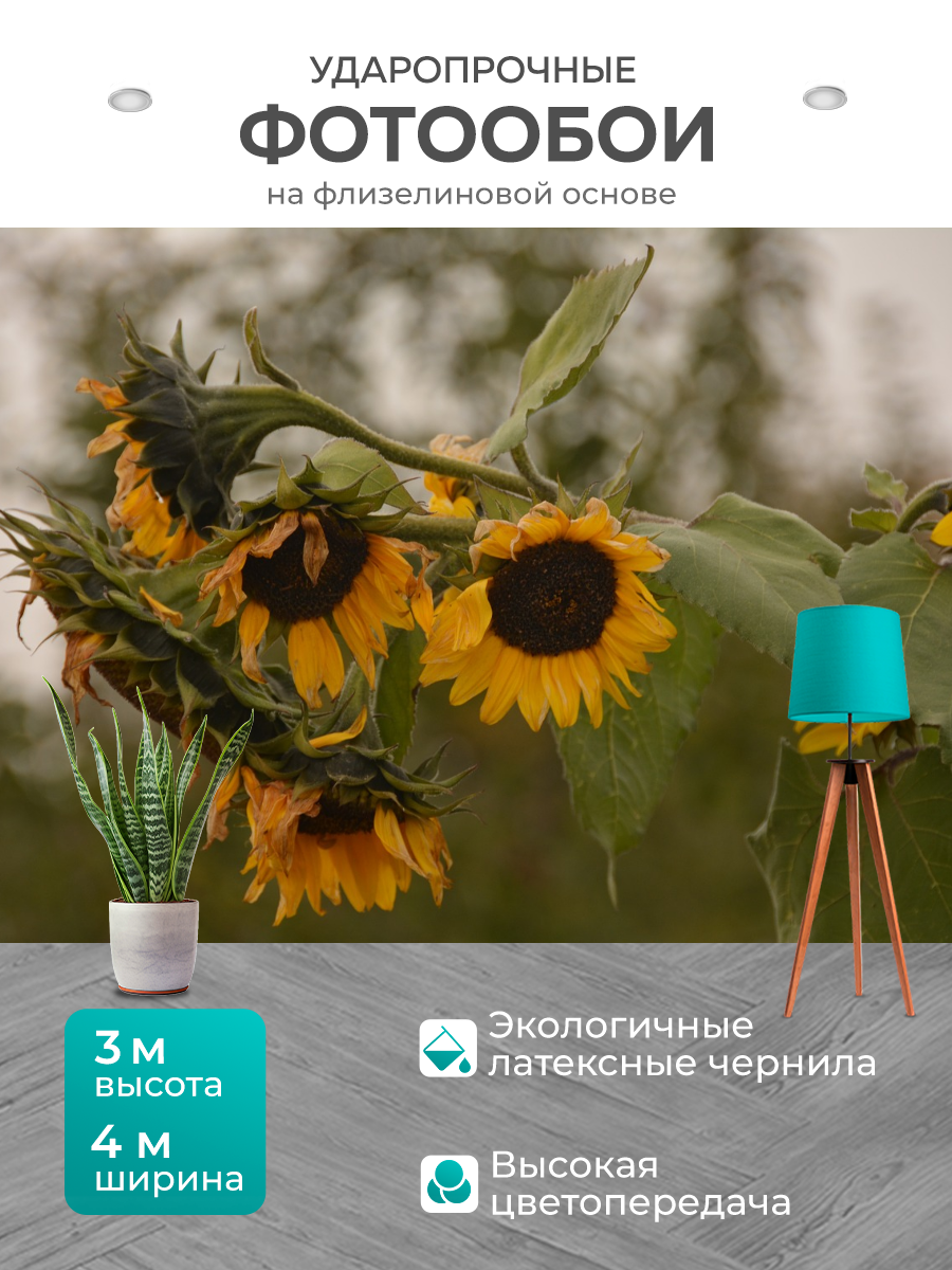 Фотообои моющиеся ударопрочные "Подсолнухи, цветы, природа" 400x300 см. флизелиновые на стену