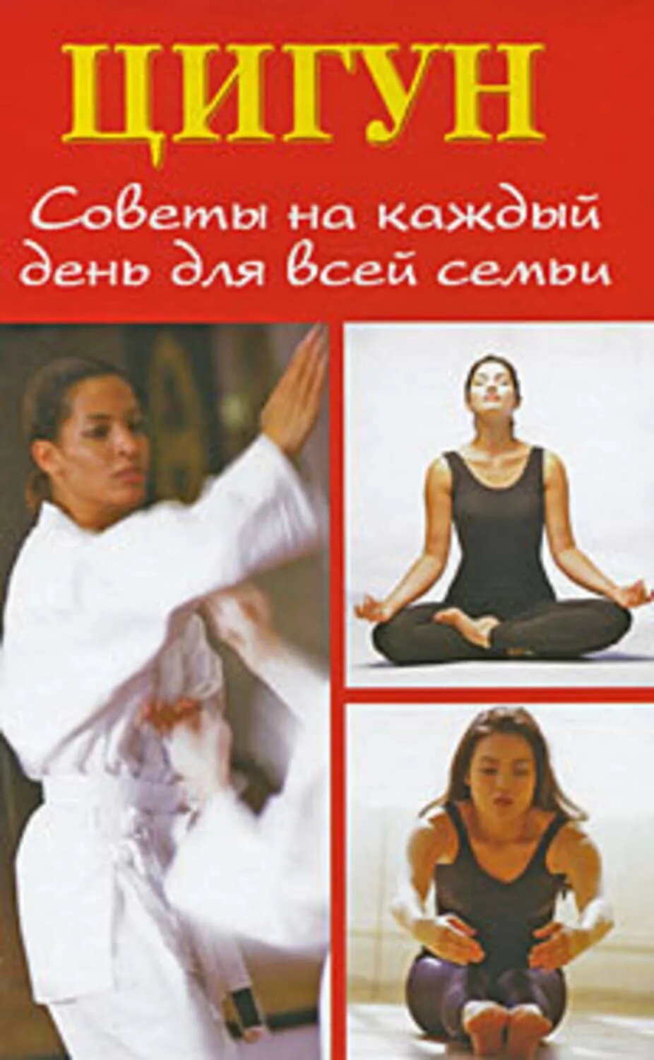 Цигун. Советы на каждый день для всей семьи [Цифровая книга]