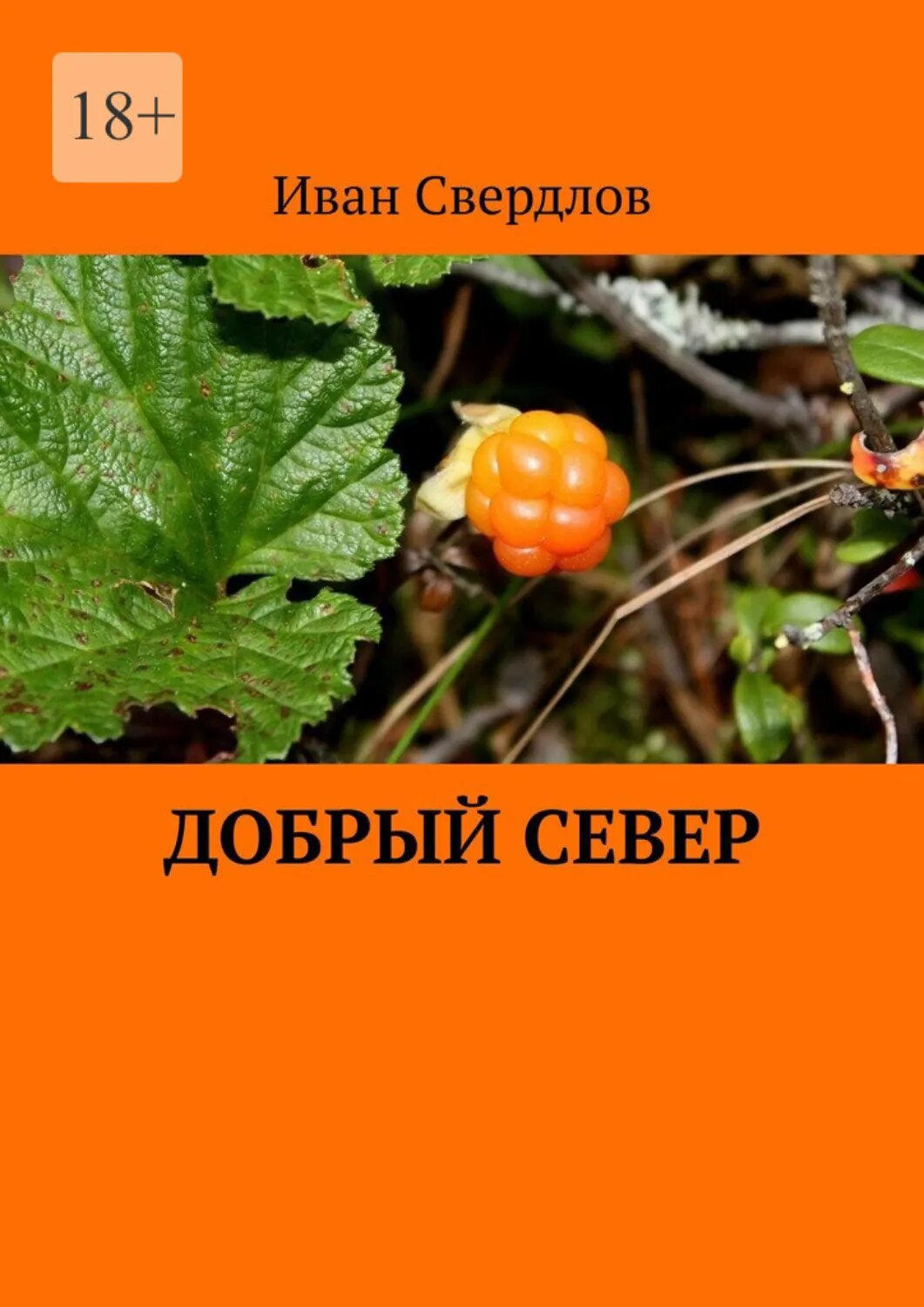 Добрый Север [Цифровая книга]
