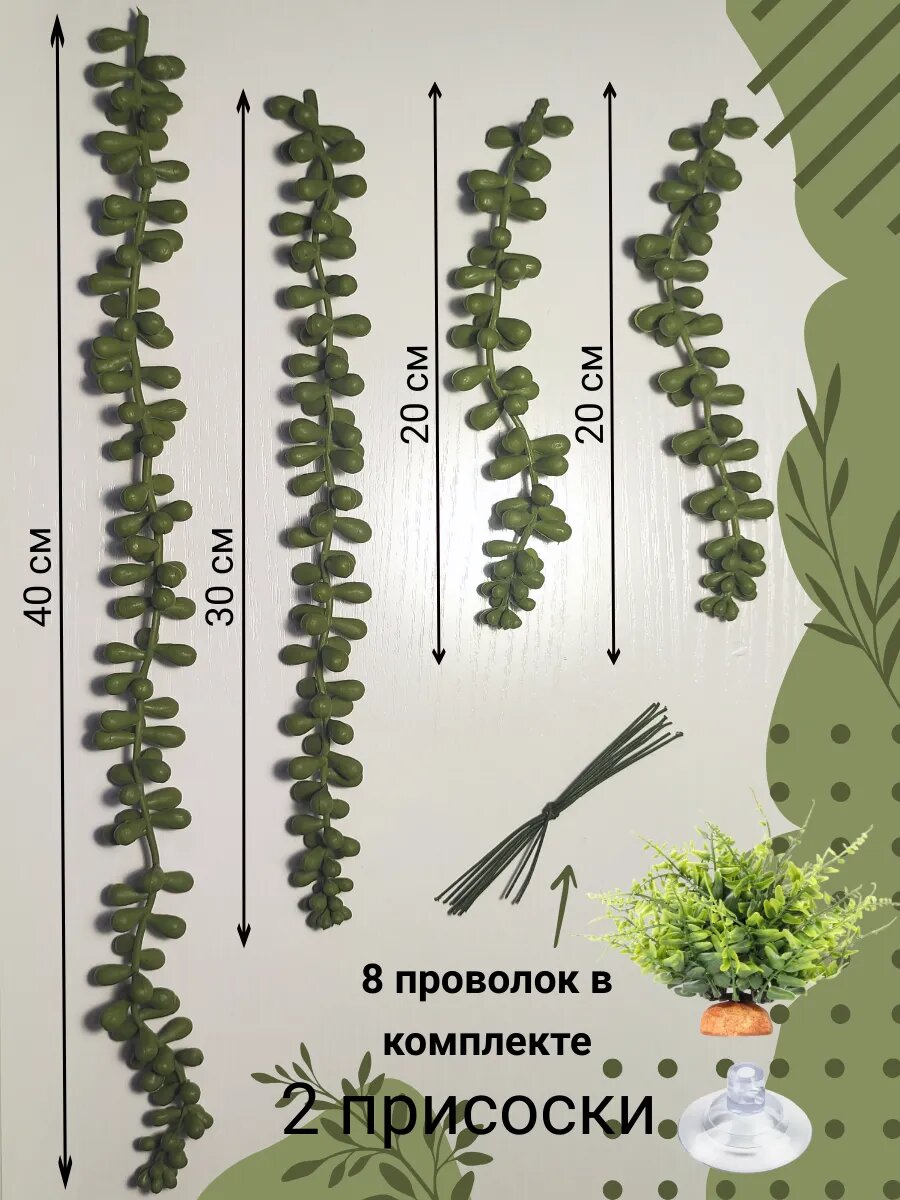 Лианы для террариума с растением