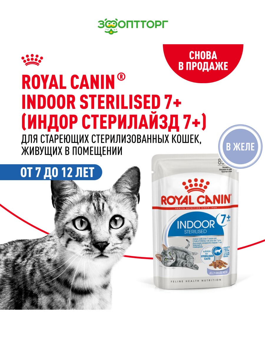 Влажный корм Royal Canin Indoor +7 пауч для домашних кошек старше 7 лет (кусочки в желе) Птица, 85 г х 28 шт.