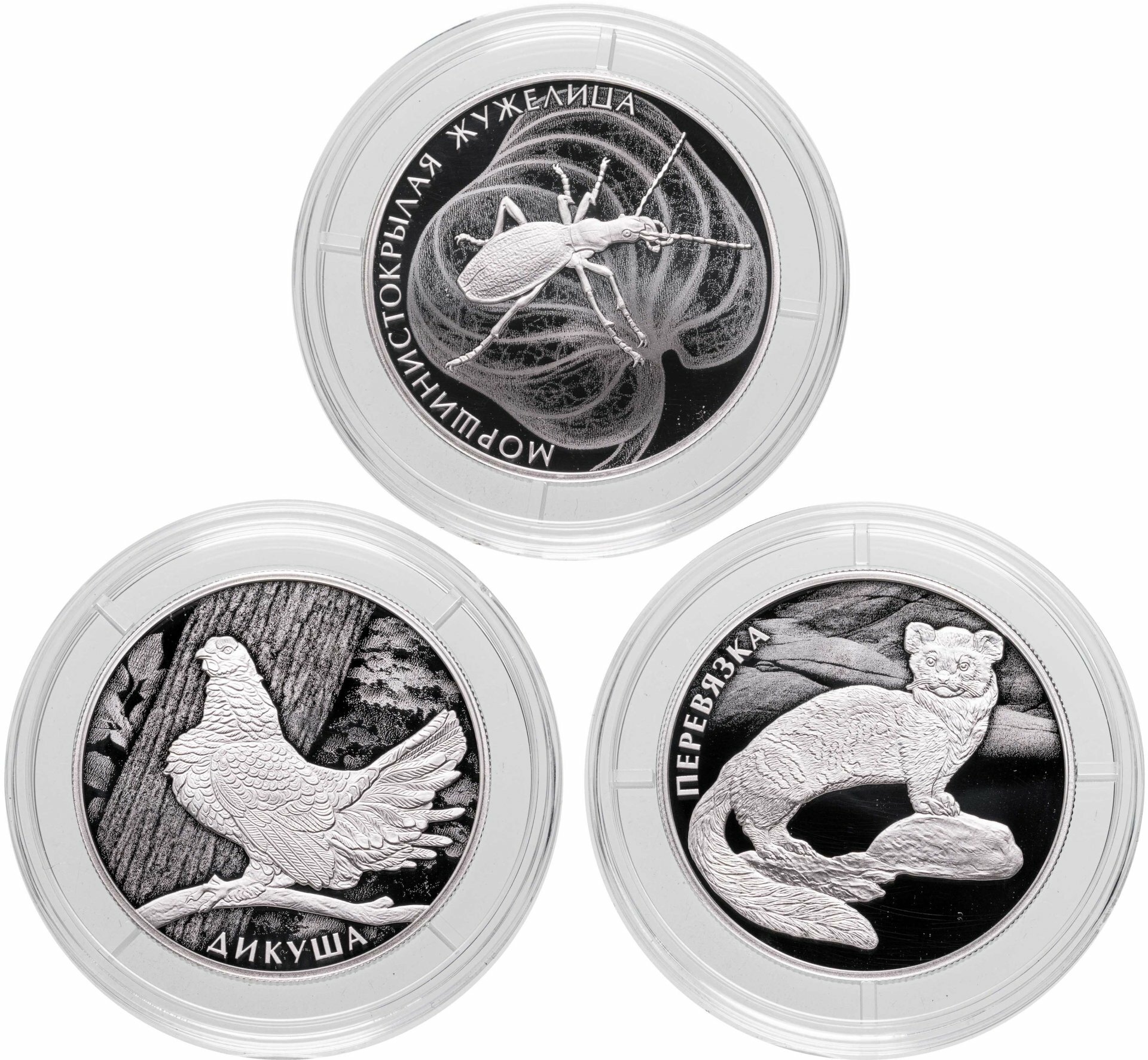 2 рубля 2024 СПМД Proof "Дикуша, Перевязка, Морщинистокрылая жужелица - красная книга", Серебро