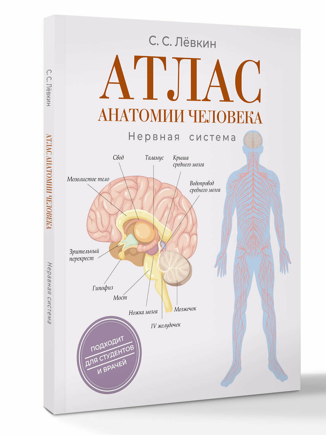 Атлас анатомии человека. Нервная система Лёвкин С. С. книга от издательства АСТ