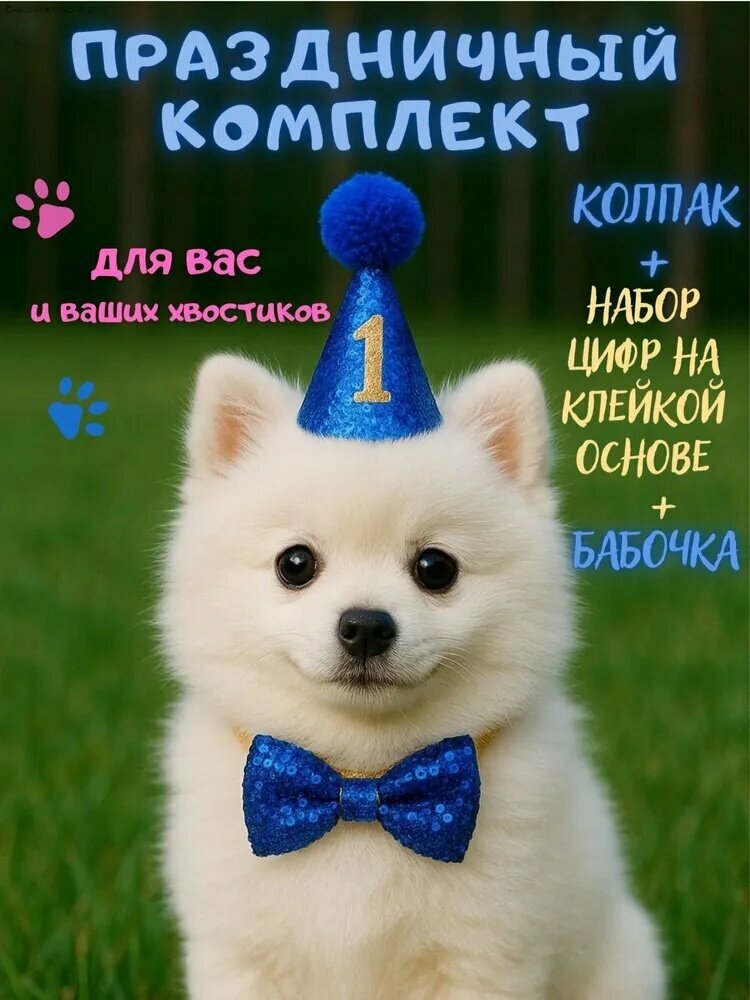 Украшение для животных # 2330965336 рождения, кошки, день, на