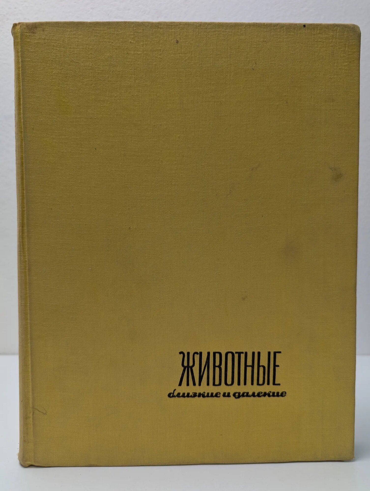 Животные близкие и далекие. Стычинский Ян, Жабинский Ян 1962