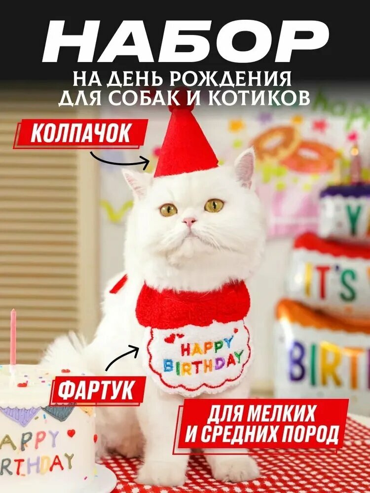 Колпачок и ошейник для кошек и собак